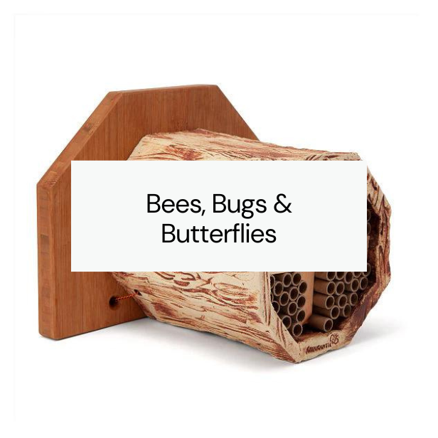 Bees | Attract Native Plants and Animals to the Garden! – Amaranth ...