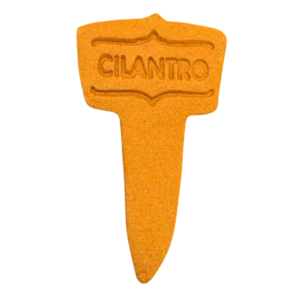 Cilantro | Handmade Garden Labels – Amaranth Stoneware Ltd. Canada